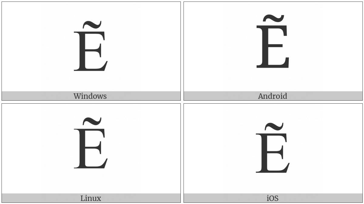 LATIN CAPITAL LETTER E WITH TILDE | UTF-8 Icons